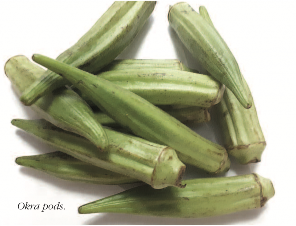 Tropical Vegetable Gardens - Fifty-Five Plus Magazine