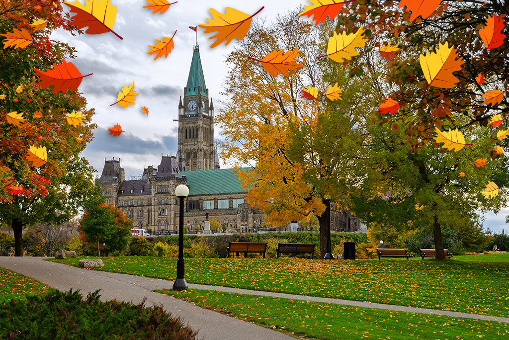 Enjoy this Fall season in Ottawa with these fun family activities ...