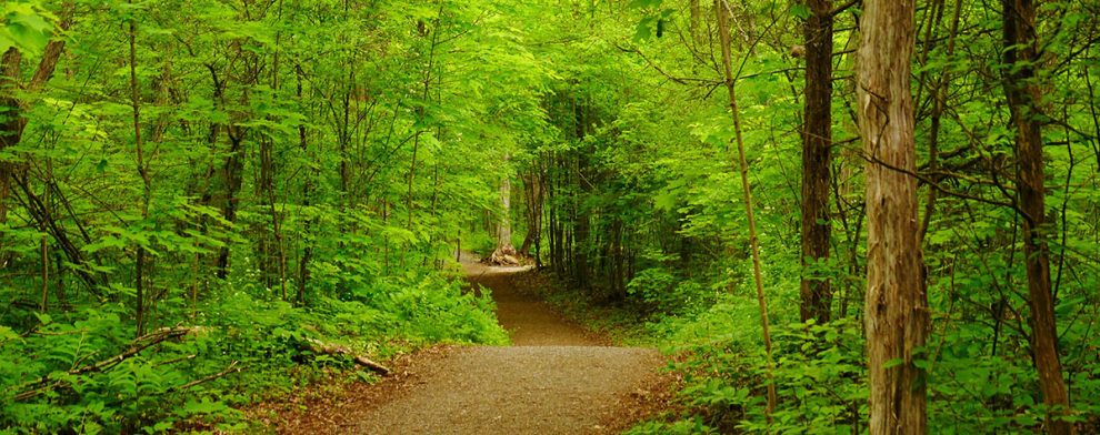 Amherstview to Amherst Island - Fifty-Five Plus Magazine