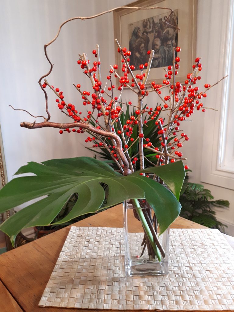 Branching Out - Fifty-Five Plus Magazine