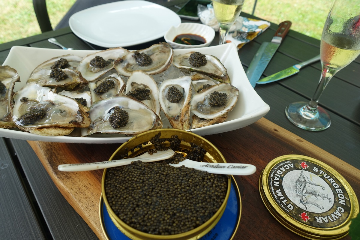 Gone Fishin’ for Caviar - Fifty-Five Plus Magazine