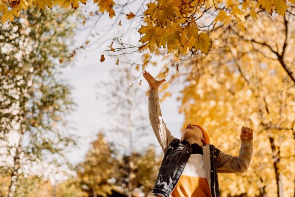 Fall Gems - Fifty-Five Plus Magazine