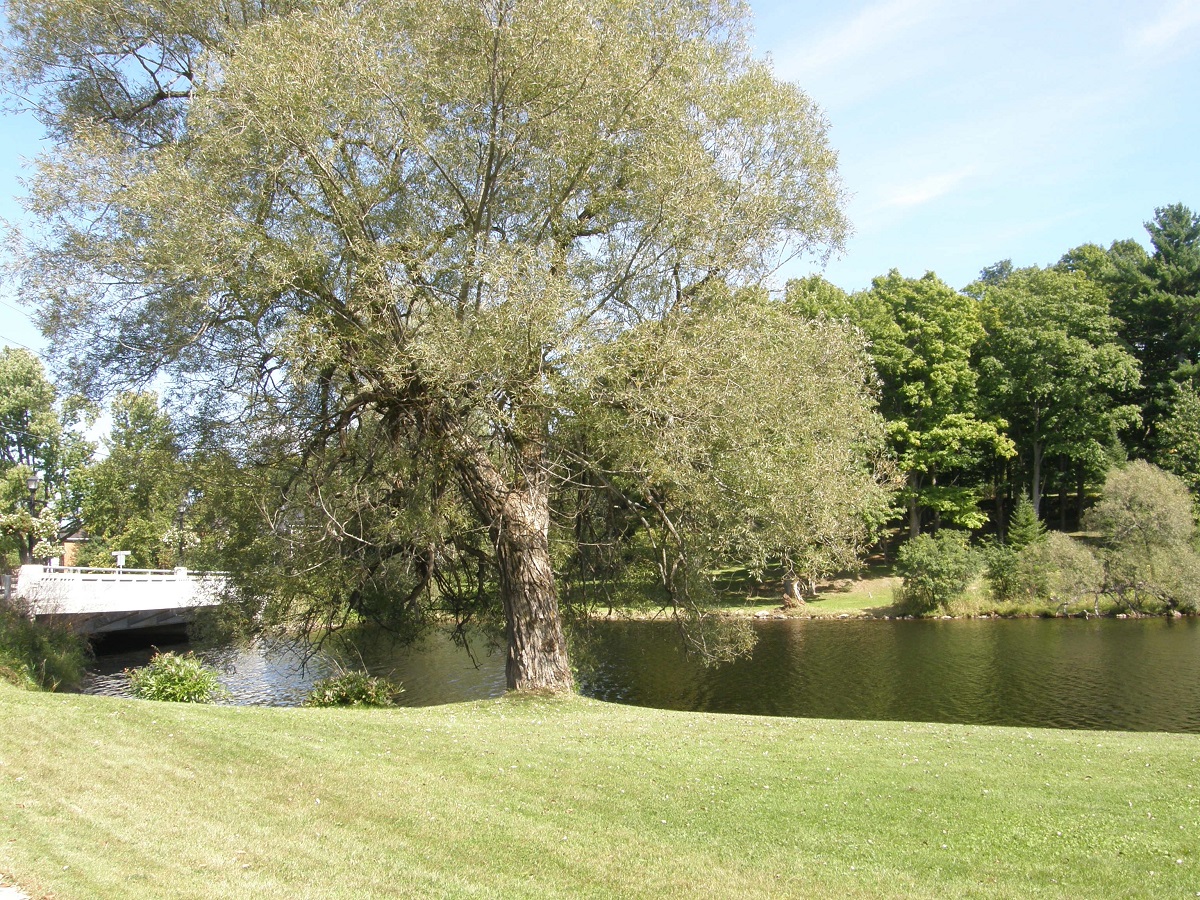 THE LANARK HIGHLANDS, A PARADISE TO DISCOVER - Fifty-Five Plus Magazine