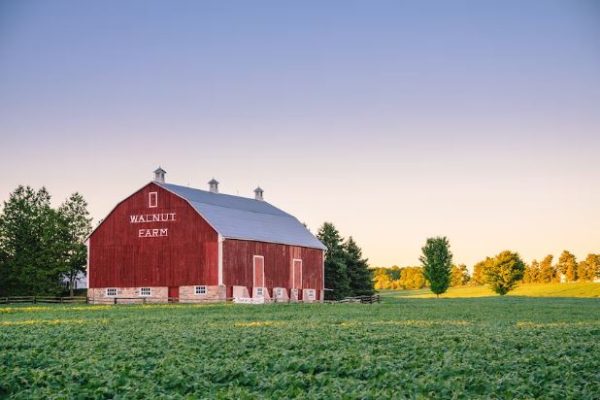 What Is A Barndominium & 5 Reasons To Consider Building One - Fifty ...