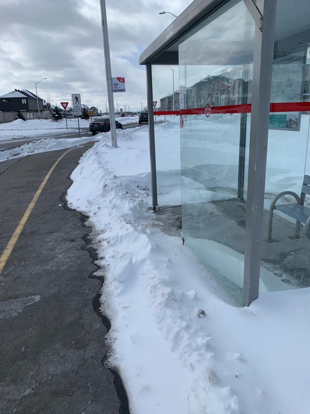 Snow Moles on Patrol: Age-Friendly Volunteers Root Out - Fifty-Five ...