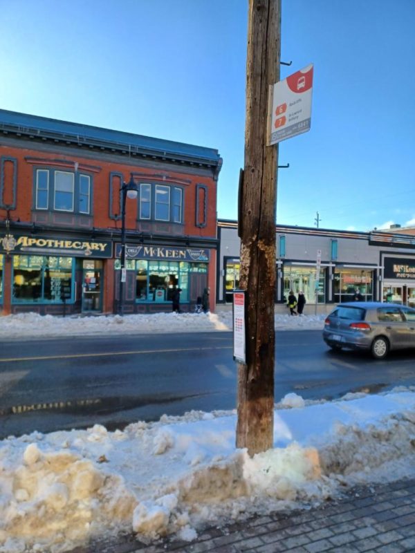 Snow Moles on Patrol: Age-Friendly Volunteers Root Out - Fifty-Five ...