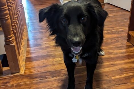 55 Plus Magazine Home - Fifty-Five Plus Magazine